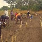 Blog | Malawi Project